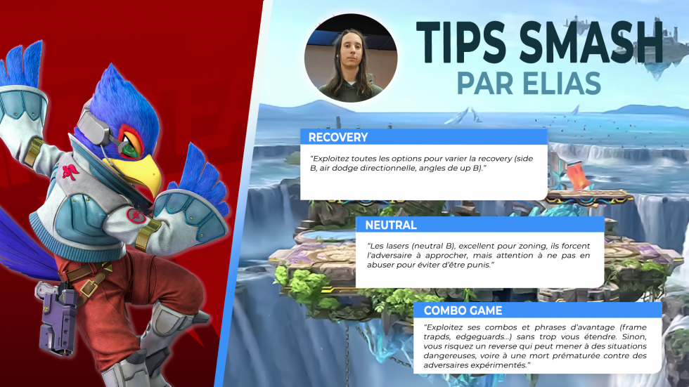 Récapitulatif des tips sur SSBU ! - ArmaTeam